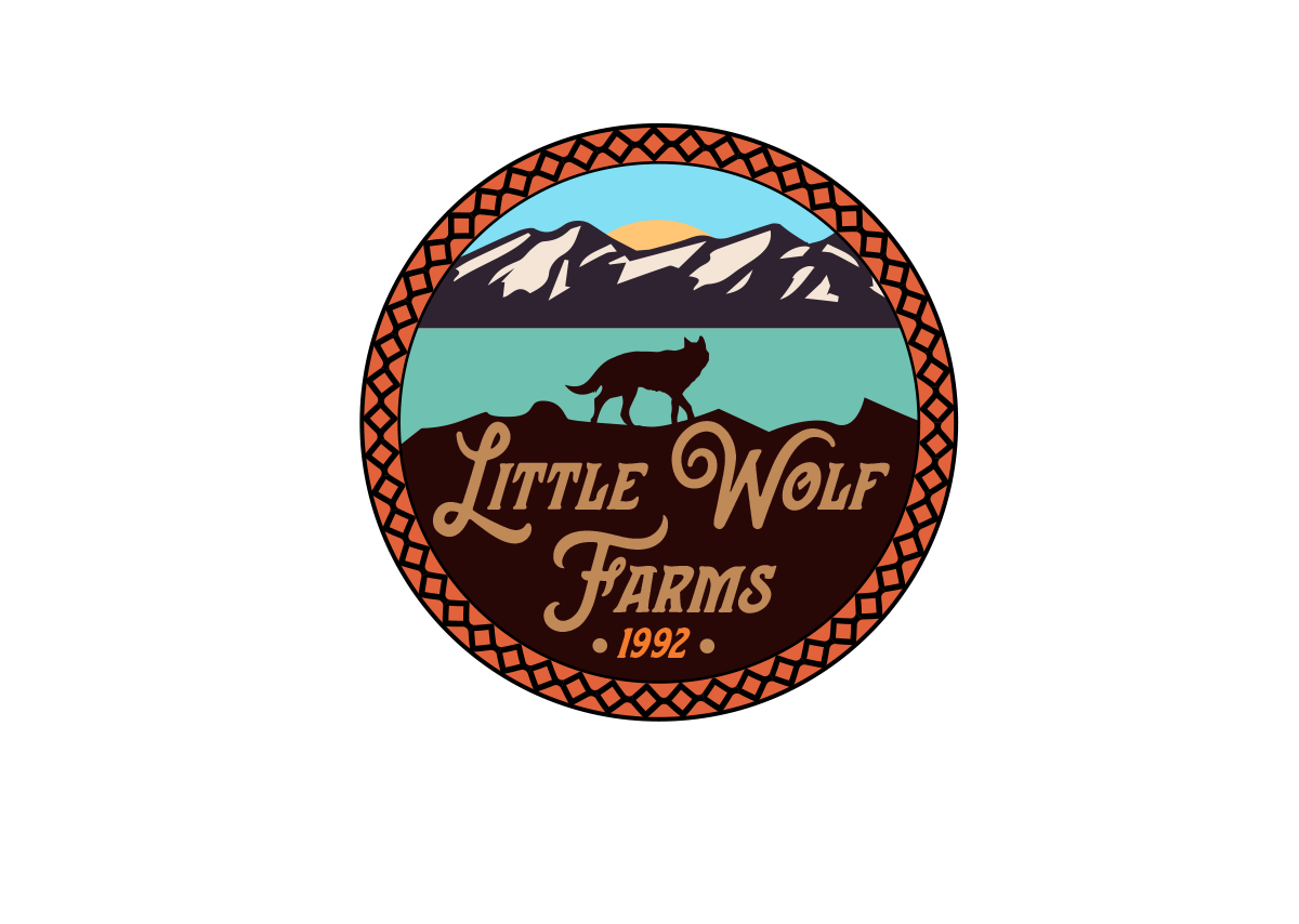 Coleus Talavera Moondust – Little Wolf Farms